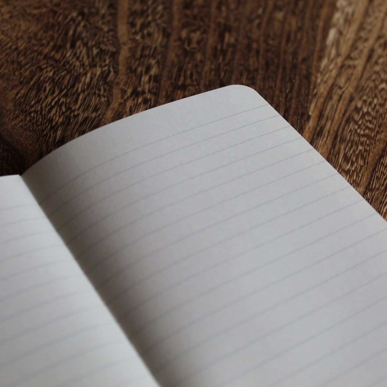 Astronomy Notebook – FOUND Gallery Ann Arbor