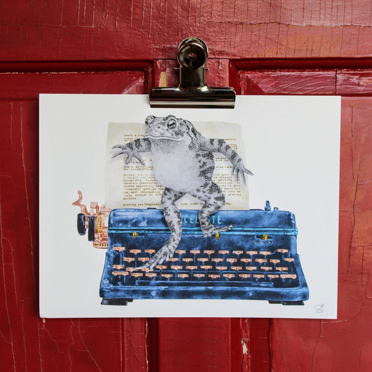 Stuart Bleuet American Toad Portrait Study – FOUND Gallery Ann Arbor