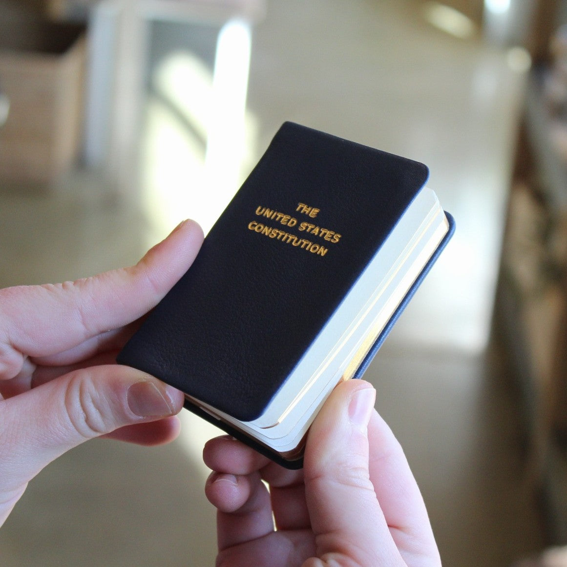 Mini United States Constitution - Blue – FOUND Gallery Ann Arbor