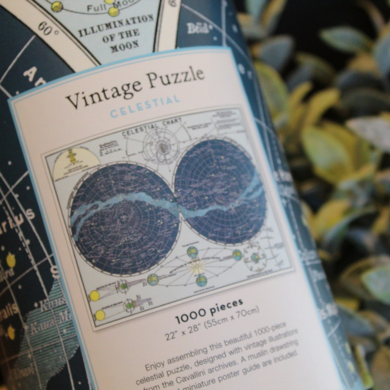 1000 Piece Puzzle Celestial – FOUND Gallery Ann Arbor