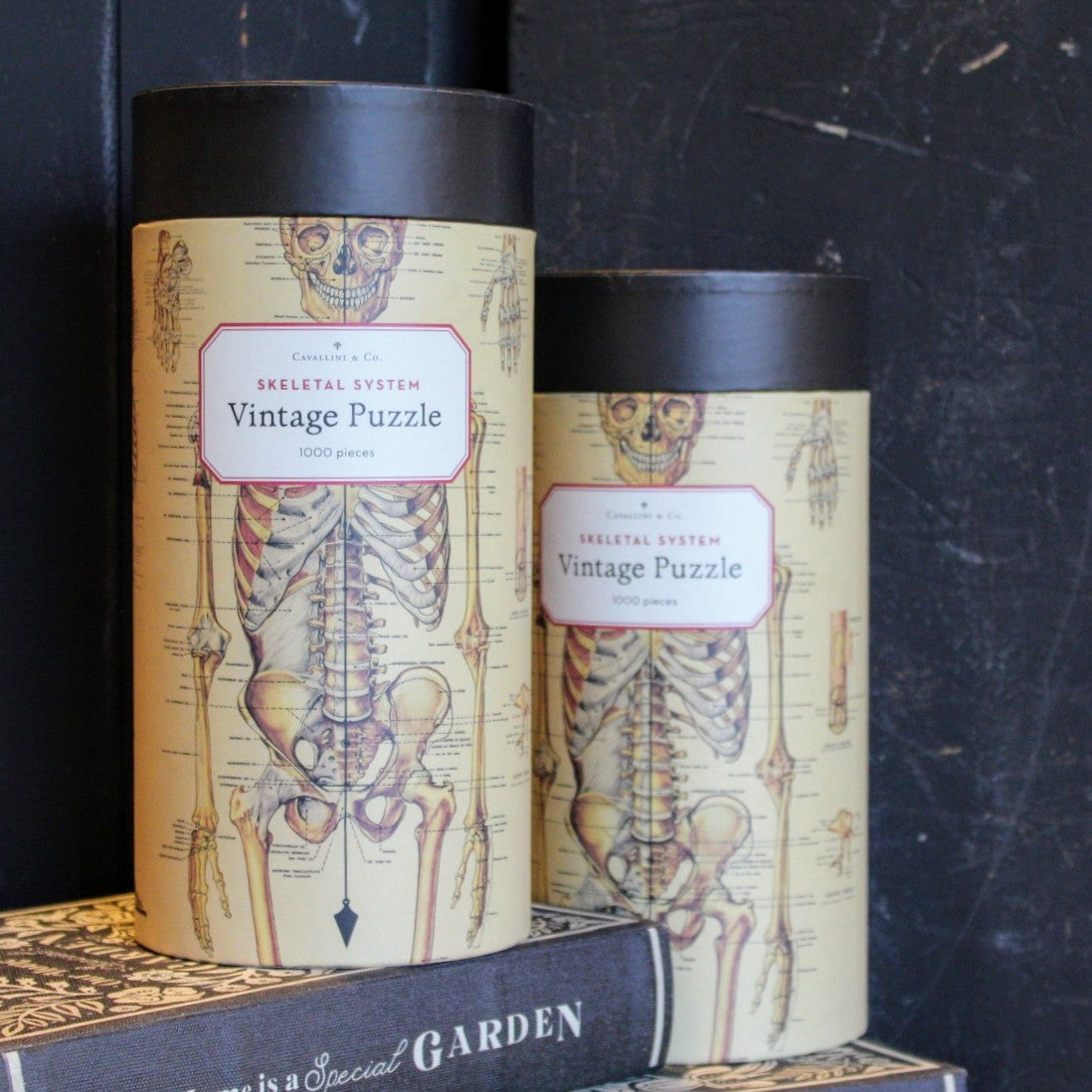 1000 Piece Puzzle Skeletal System – FOUND Gallery Ann Arbor