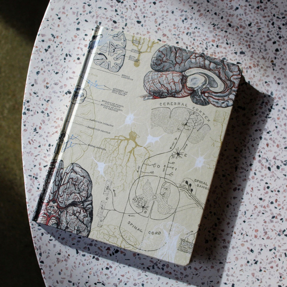 Brain Notebook – FOUND Gallery Ann Arbor