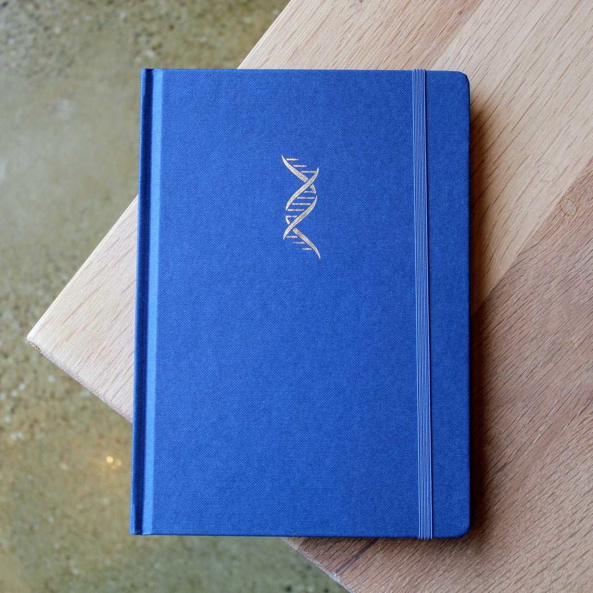 Genetics Abstract Notebook – FOUND Gallery Ann Arbor