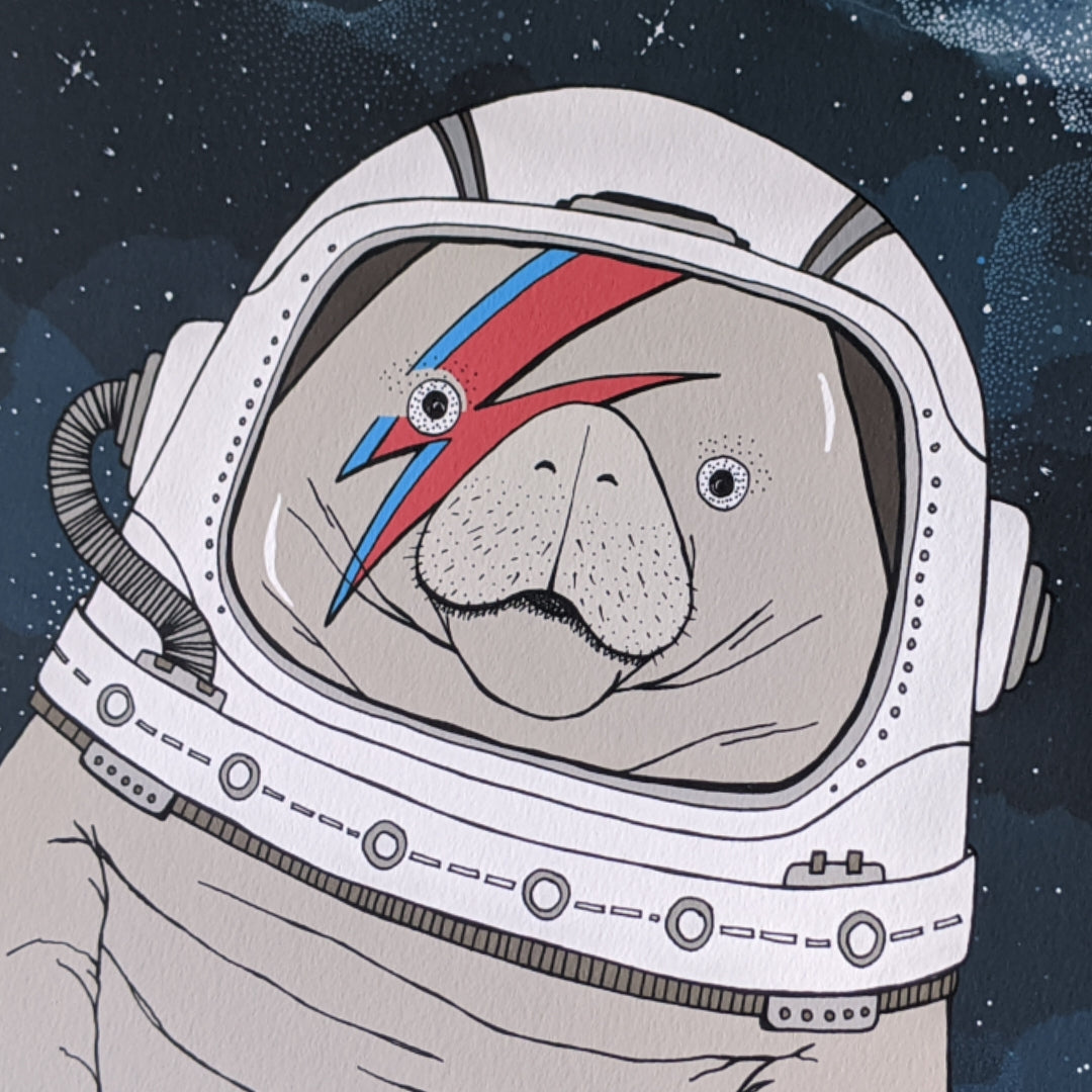 Space Manatee Print – FOUND Gallery Ann Arbor