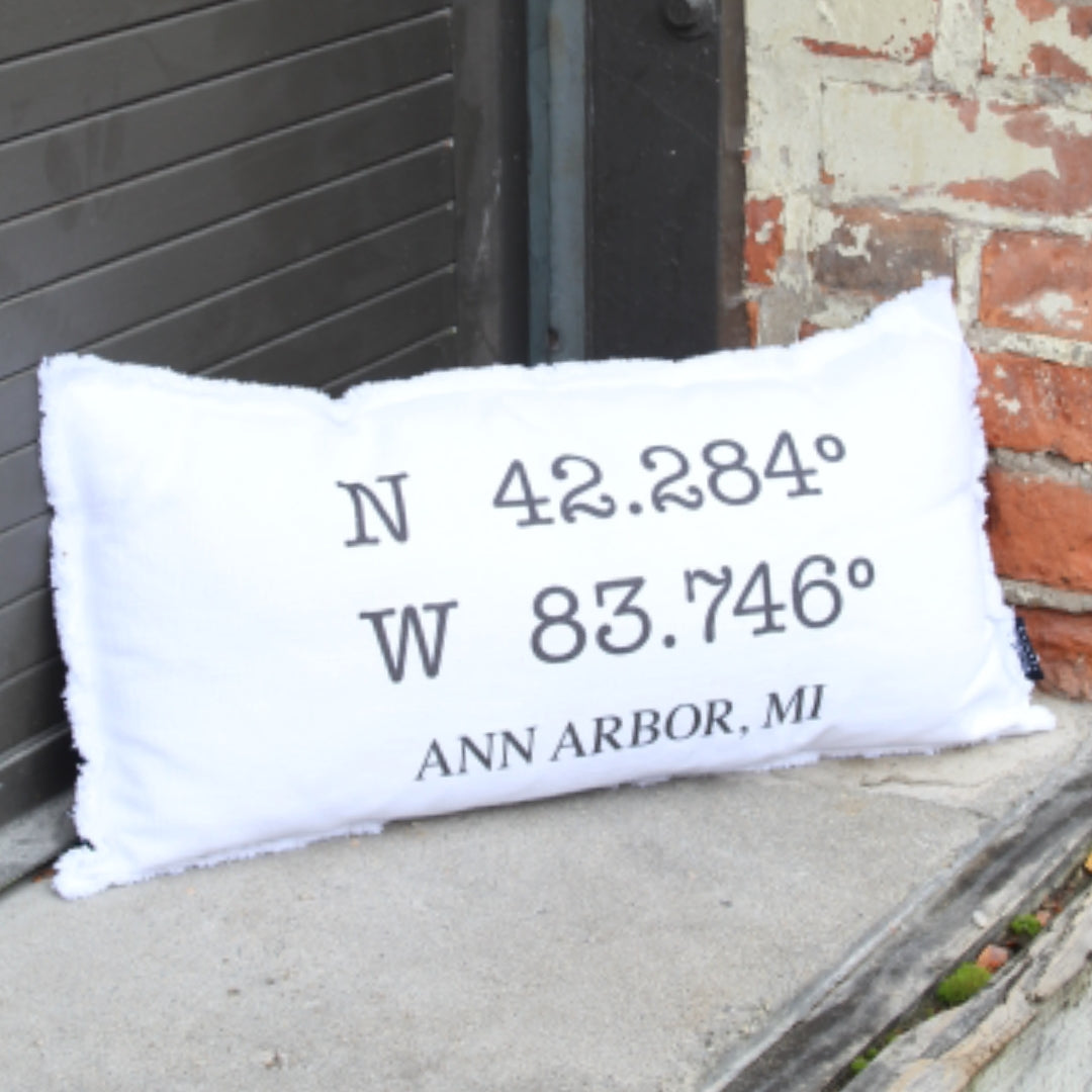 Ann Arbor Coordinate Pillow – FOUND Gallery Ann Arbor